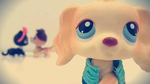 Power of Popularity | LPSTube Wiki | Fandom