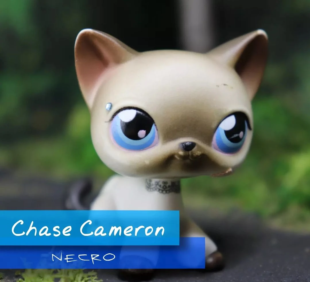 Chase Cameron | LPSTube Wiki | Fandom