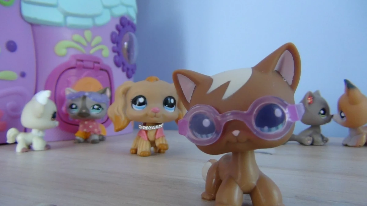 My Teen Life | LPSTube Wiki | Fandom