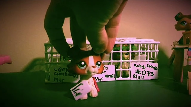 Experiment 71 | LPSTube Wiki | Fandom