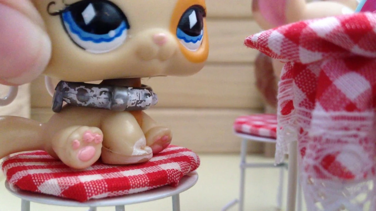 Never forget you | LPSTube Wiki | Fandom