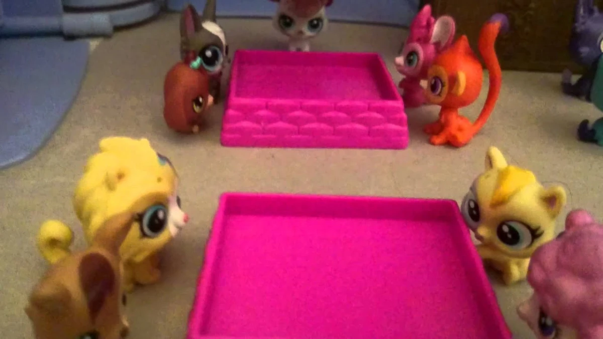 Yin and yang | LPSTube Wiki | Fandom