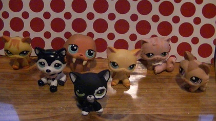 LPS: Fashion Matters | LPSTube Wiki | Fandom