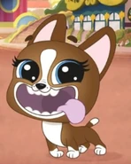 Roxie McTerrier/Gallery | Littlest Pet Shop: A Wiki of Our Own | Fandom