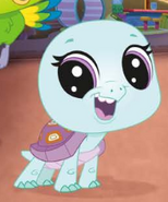Bev Gilturtle/Gallery | Littlest Pet Shop: A Wiki of Our Own | Fandom