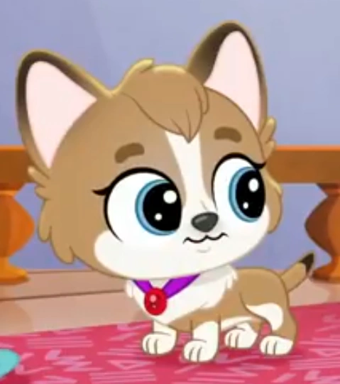 Bertram Corgiwaddle | Littlest Pet Shop: A Wiki of Our Own | Fandom