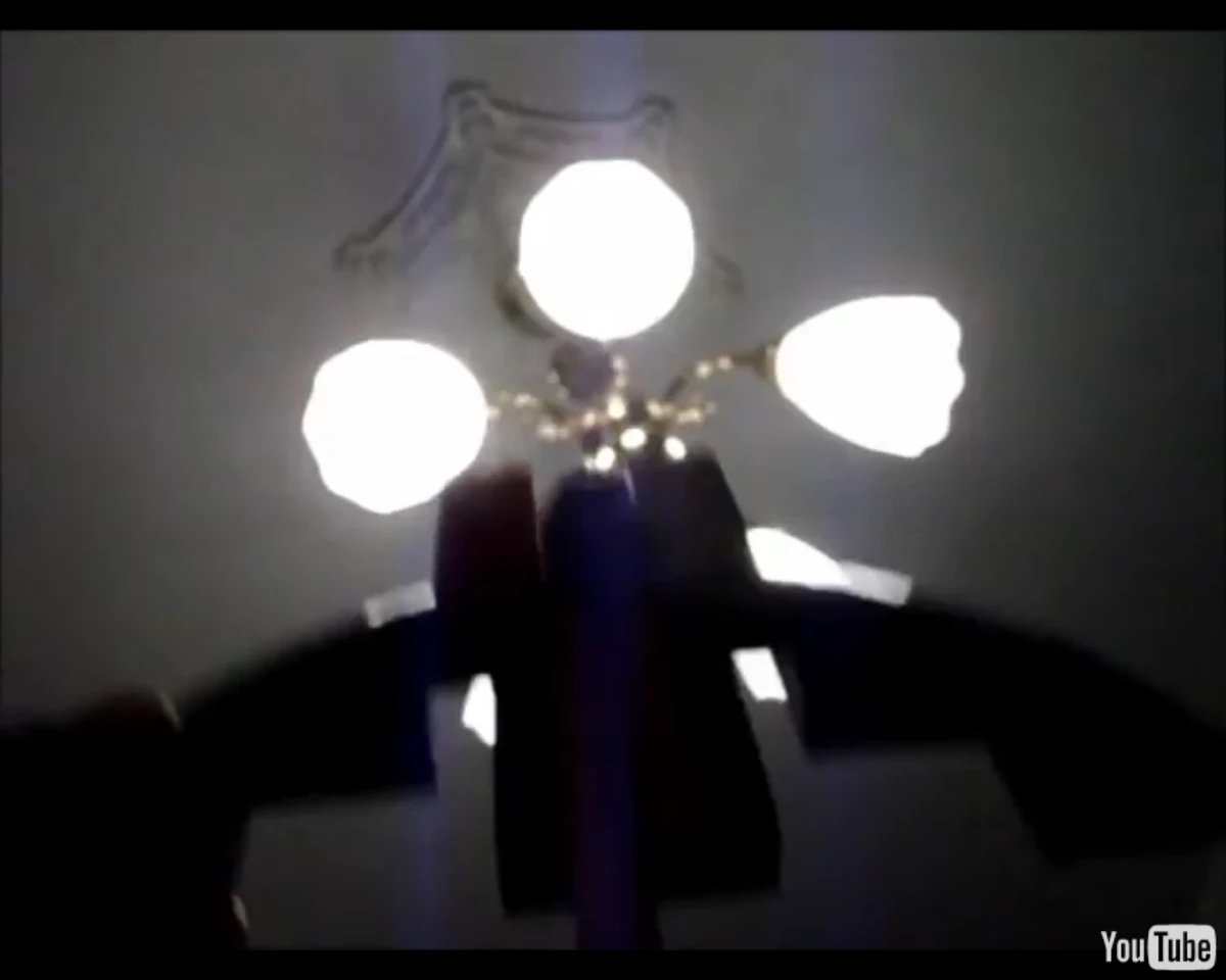 Bat/manta | LSWCW Wiki | Fandom