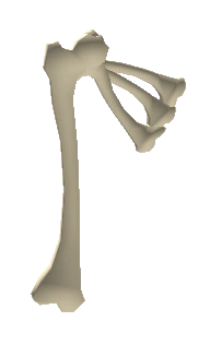 Bone Axe | LT2 Fanon Wiki | Fandom