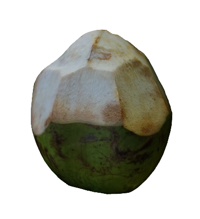 Tropical Coconut | LT2 Fanon Wiki | Fandom