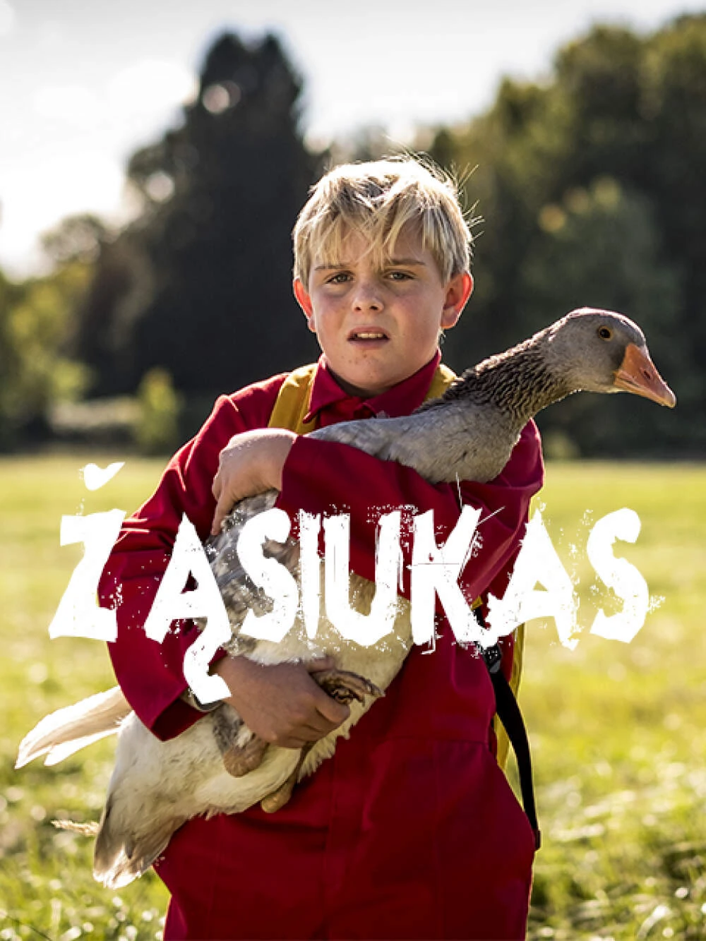 Žąsiukas | LTMedia Wiki | Fandom