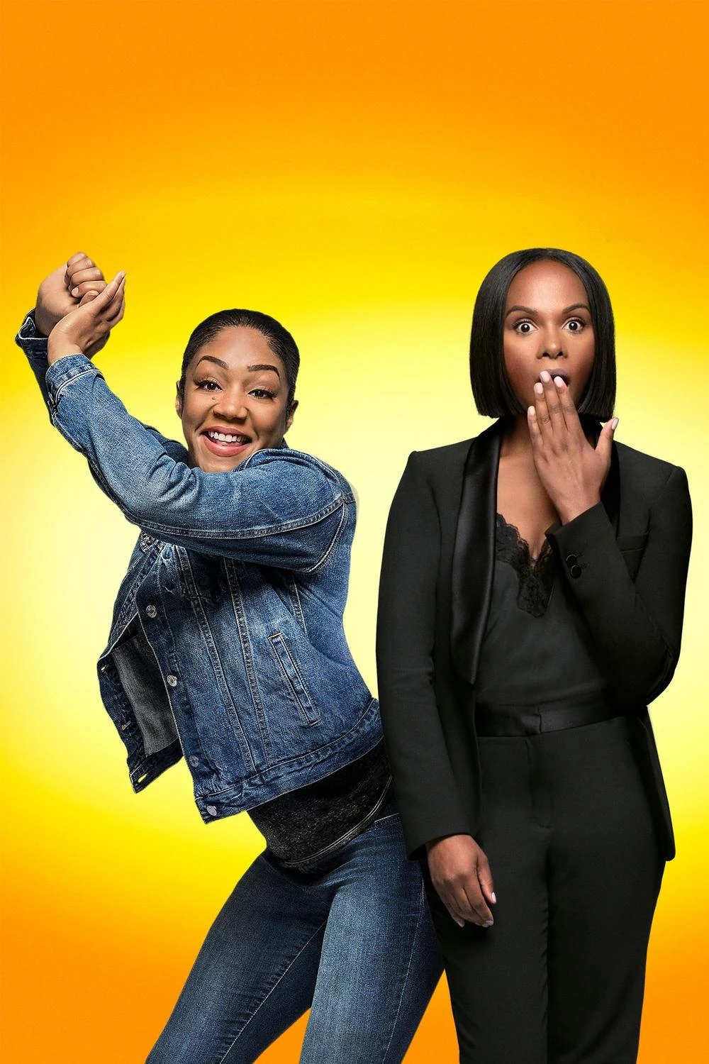 Kvailių nėra | LTMedia Wiki | Fandom