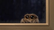 Lucas | Lucas The Spider Wiki | Fandom