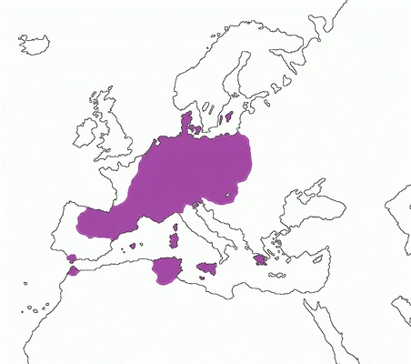 Empire of Numeron | Lucerne Wiki | Fandom