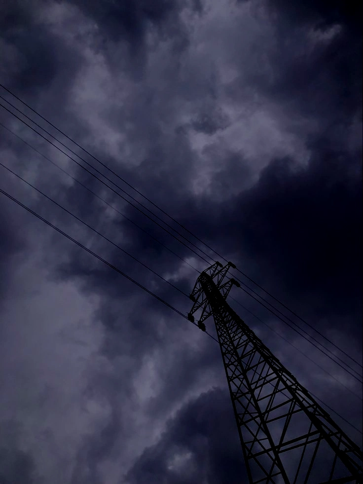 Ingo | Luci's Storage Wiki | Fandom