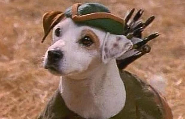 Wishbone | Luck dog Wiki | Fandom