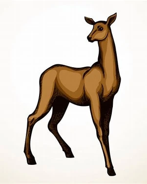 Gugu the Aepyceros Datoadeni | Luck dog Wiki | Fandom