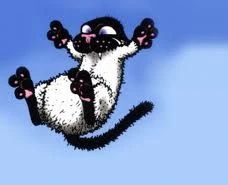 Bucky katt | Luck dog Wiki | Fandom