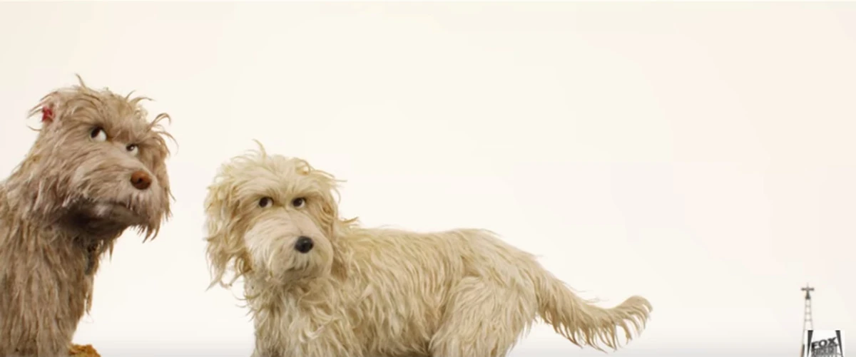 Igor the dog | Luck dog Wiki | Fandom