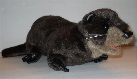 Yopaat | Luck dog Wiki | Fandom