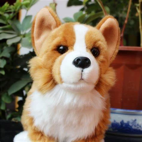 Corgi | Luck dog Wiki | Fandom