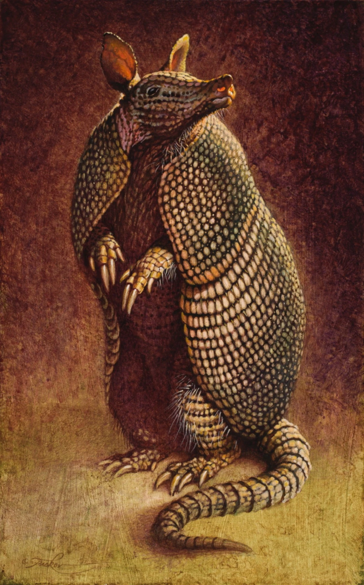 Paco the spirit armadillo | Luck dog Wiki | Fandom