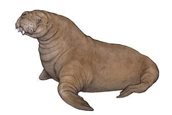 Zachary | Luck dog Wiki | Fandom