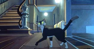 Francis the Cat (felidae) | Luck dog Wiki | Fandom