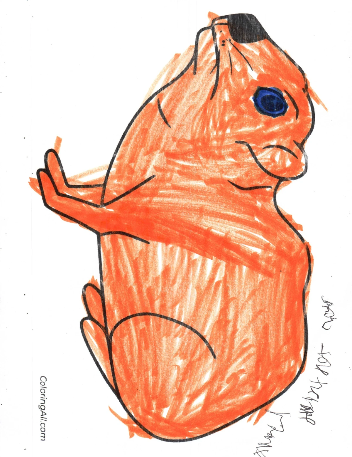 Snow cone the cape hyrax | Luck dog Wiki | Fandom