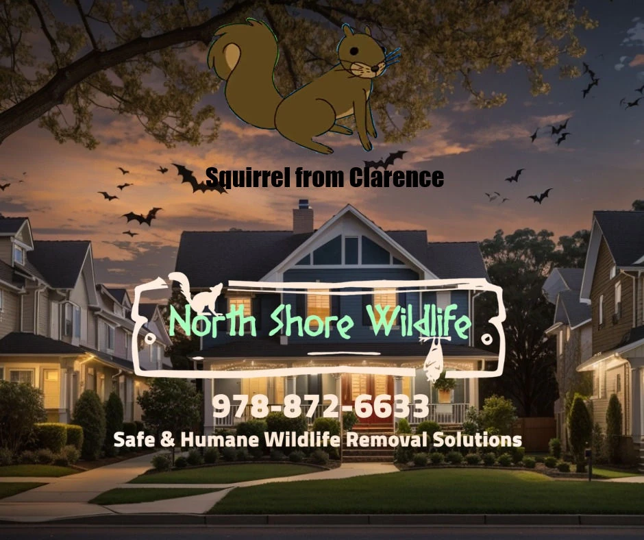 Clarence the squirrel | Luck dog Wiki | Fandom