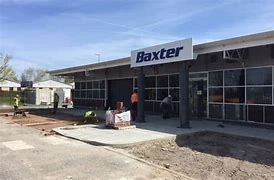 Baxter the Florida White | Luck dog Wiki | Fandom