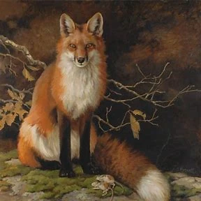 Dylan the Fox | Luck dog Wiki | Fandom