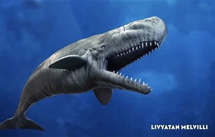 Rhonda | Luck dog Wiki | Fandom