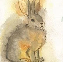 Riverine rabbit | Luck dog Wiki | Fandom