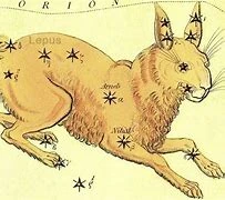 Master Lepus | Luck dog Wiki | Fandom