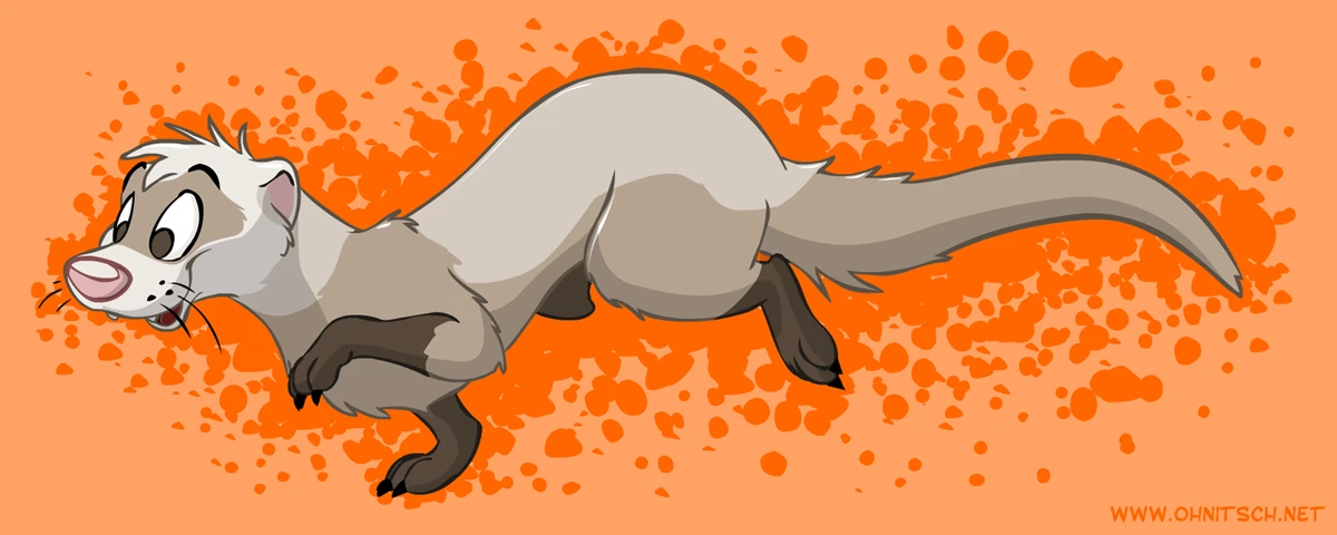 Finicky the ferret | Luck dog Wiki | Fandom