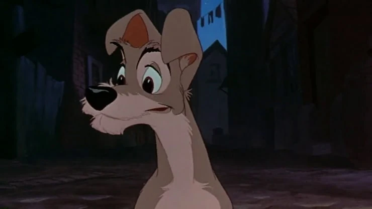 Tramp the dog | Luck dog Wiki | Fandom