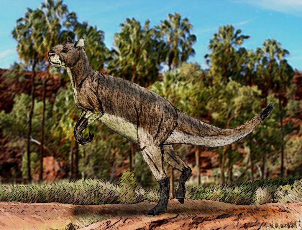 Bounder the sthenurus | Luck dog Wiki | Fandom