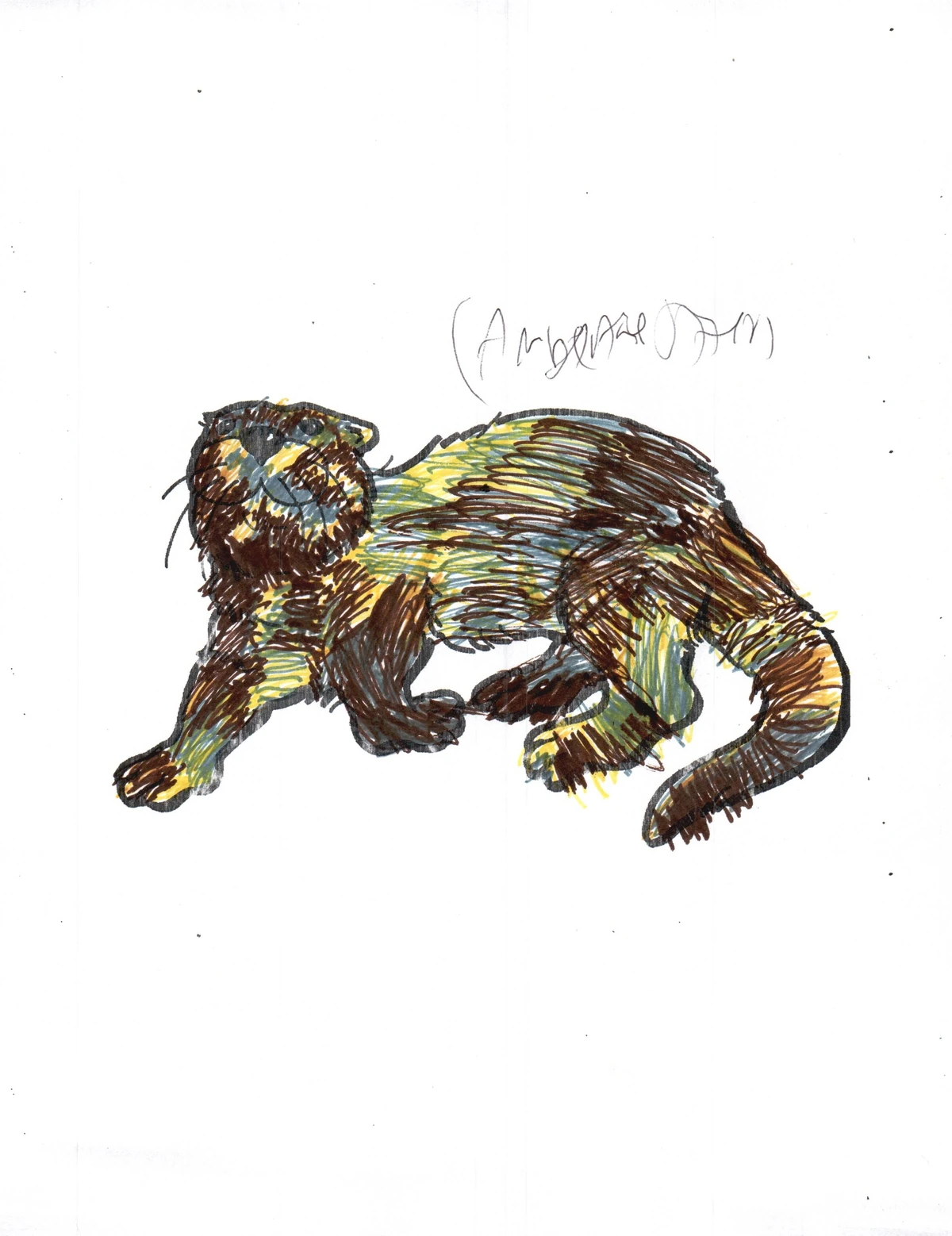 Amber the european otter | Luck dog Wiki | Fandom