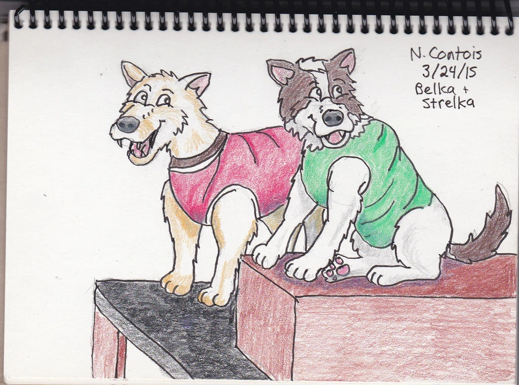 Belka and strelka | Luck dog Wiki | Fandom
