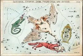 Cygnus | Luck dog Wiki | Fandom