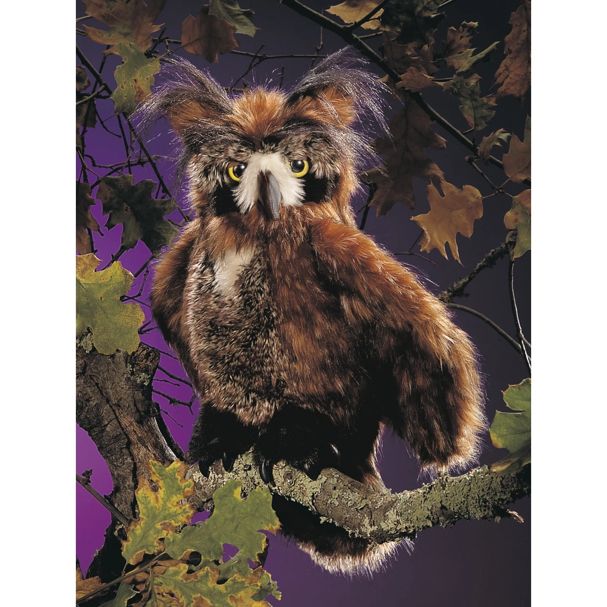 Master owl | Luck dog Wiki | Fandom