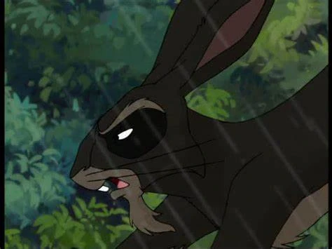 Vervain the rabbit | Luck dog Wiki | Fandom