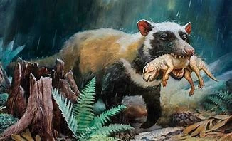 Viltis the Repenomamus | Luck dog Wiki | Fandom