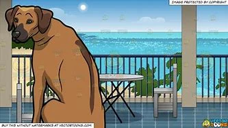 Rodney the rhodesian ridgeback | Luck dog Wiki | Fandom