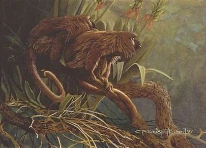 Hun-Ahpu the Howler Monkey | Luck dog Wiki | Fandom