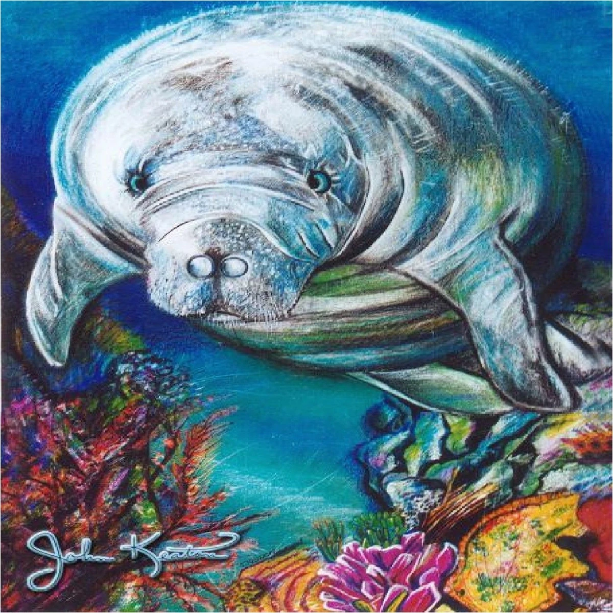 Manatee | Luck dog Wiki | Fandom