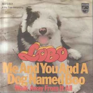 Boo the old english sheepdog | Luck dog Wiki | Fandom