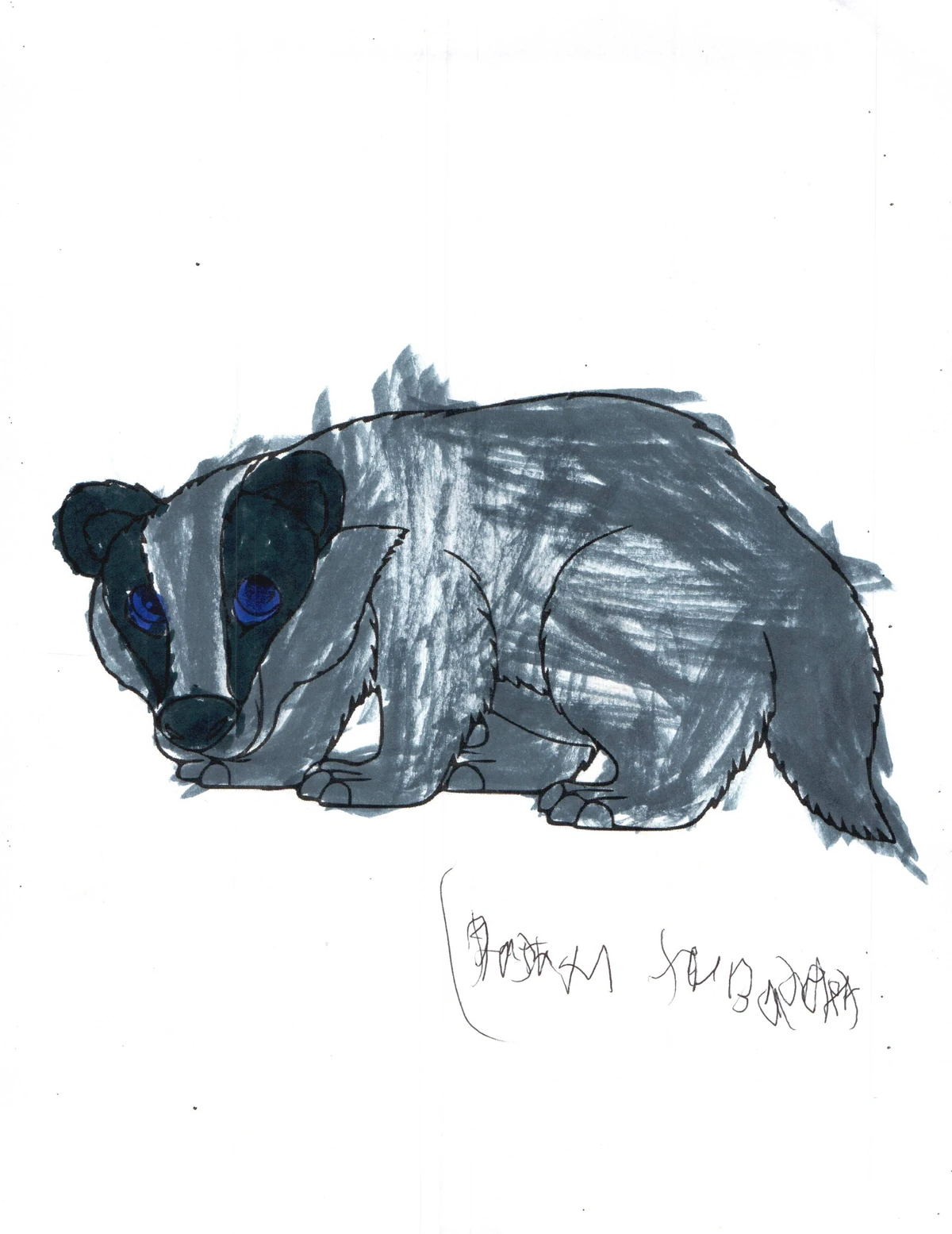 Bashful the badger | Luck dog Wiki | Fandom