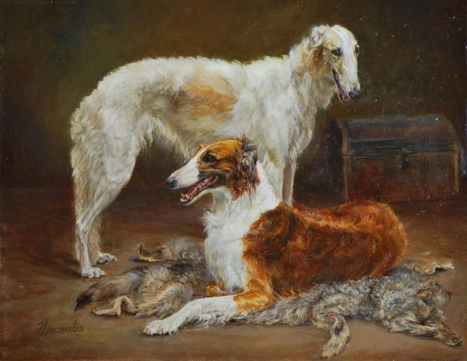 Boris the Borzoi | Luck dog Wiki | Fandom
