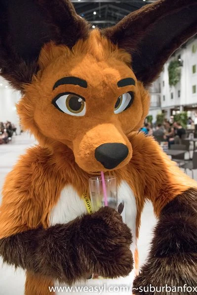 Fox Leader | Luck dog Wiki | Fandom